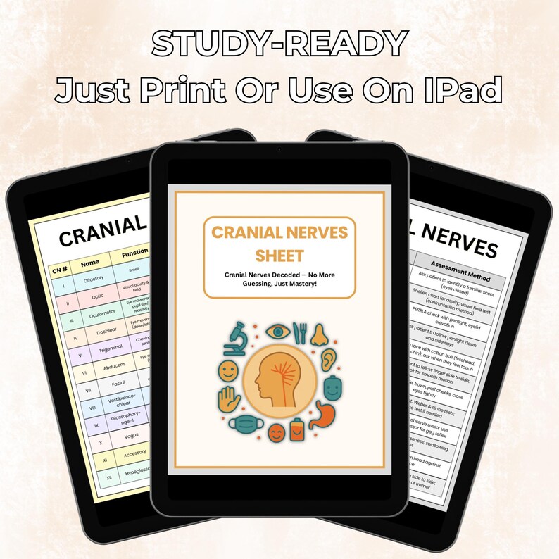 Cranial Nerves Study Guide – Cheat Sheets, Assessment (printable PDF ...