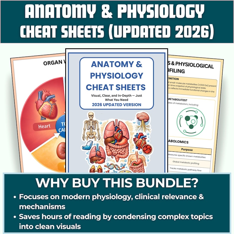 Anatomy & Physiology Cheat Sheet | 2026 Anatomy and Physiology Study ...