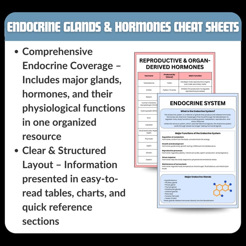Endocrine Glands & Hormones Cheat Sheets | Nursing Study Notes ...