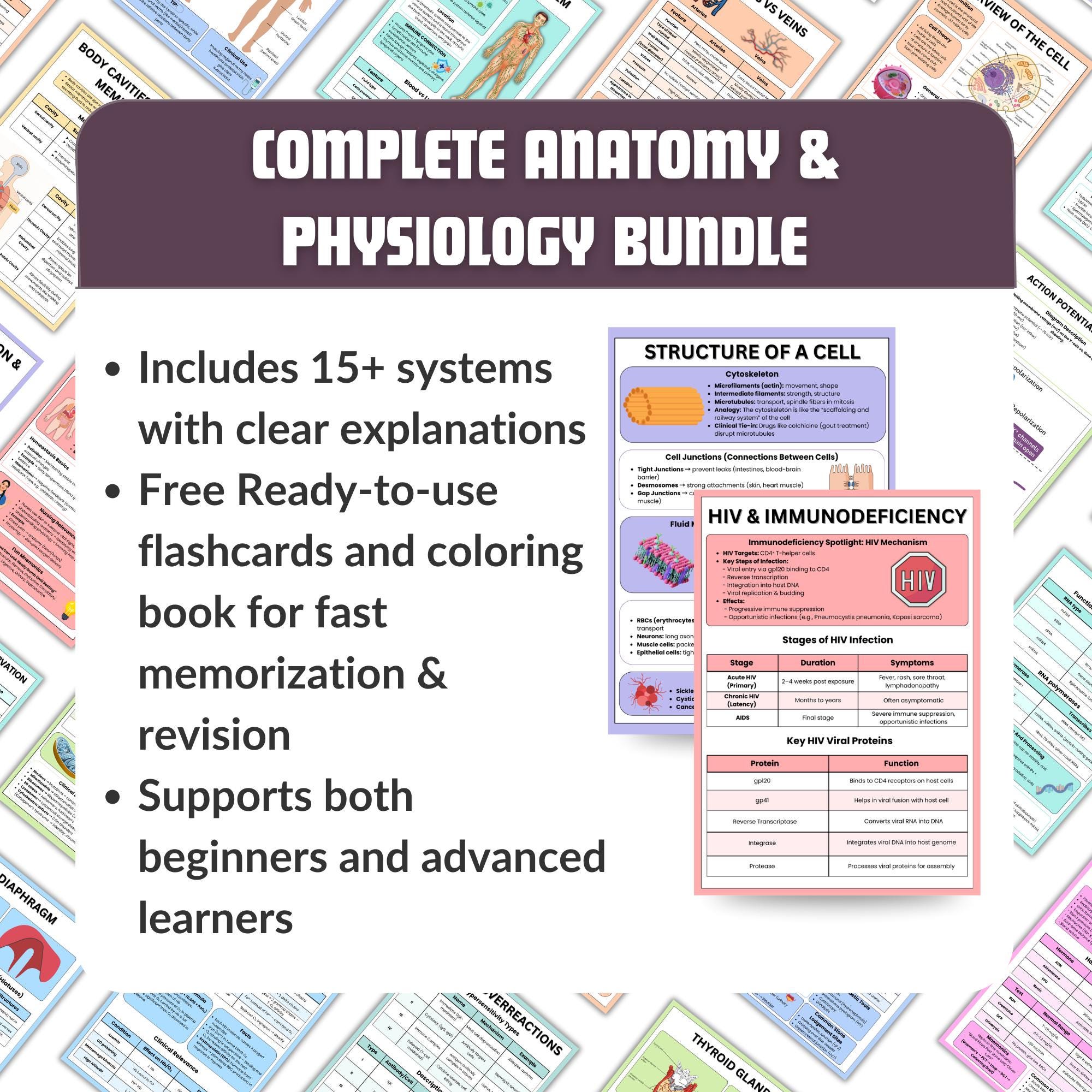 Anatomy & Physiology Bundle With Flashcards-complete Anatomy Study ...