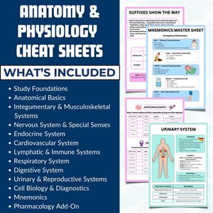 Anatomy and Physiology Study Guide Bundle | Medical Notes (PDF Download ...