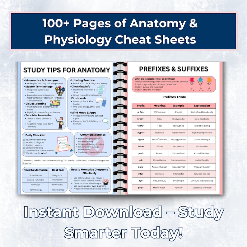 Anatomy and Physiology Study Guide Bundle | Medical Notes (PDF Download ...