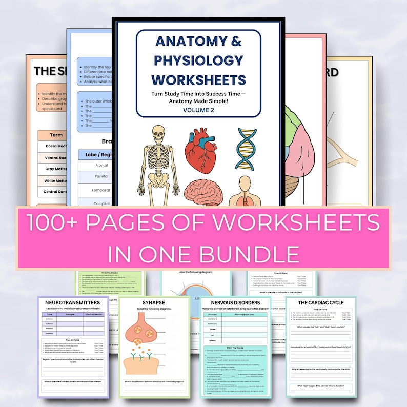 100+ Anatomy & Physiology Worksheet Bundle-complete Anatomy Study Guide ...