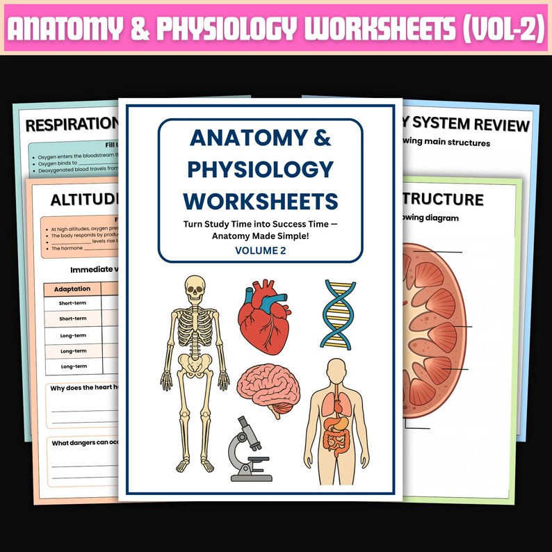 100+ Anatomy & Physiology Worksheet Bundle-complete Anatomy Study Guide ...