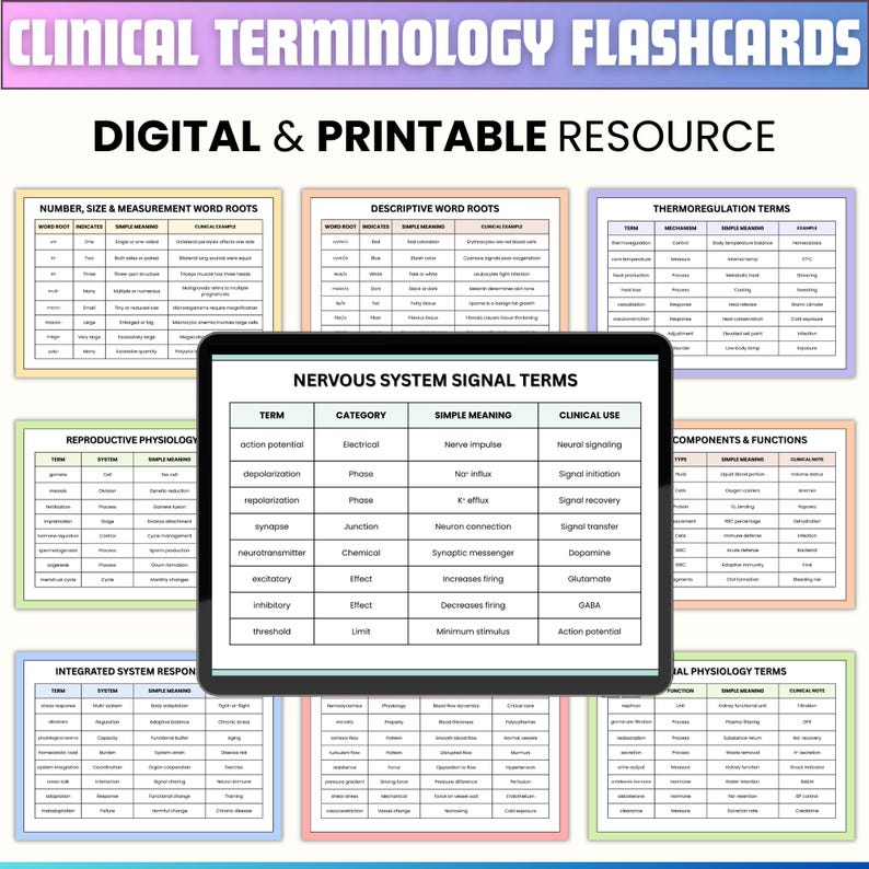 Medical Terminology Flashcards, Nursing Anatomy, Abbreviations (instant ...