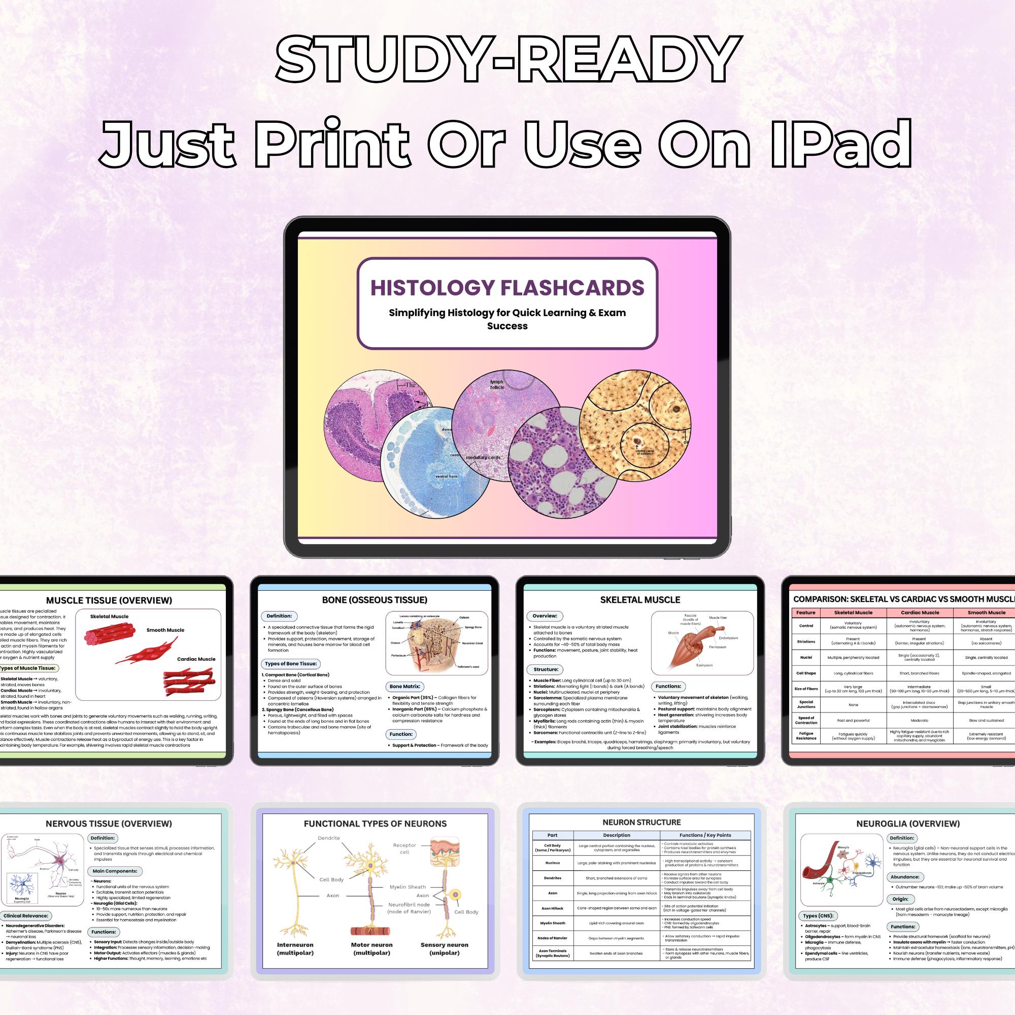 Histology Flashcards Bundle: 70+ Study Cards, Diagrams (printable ...