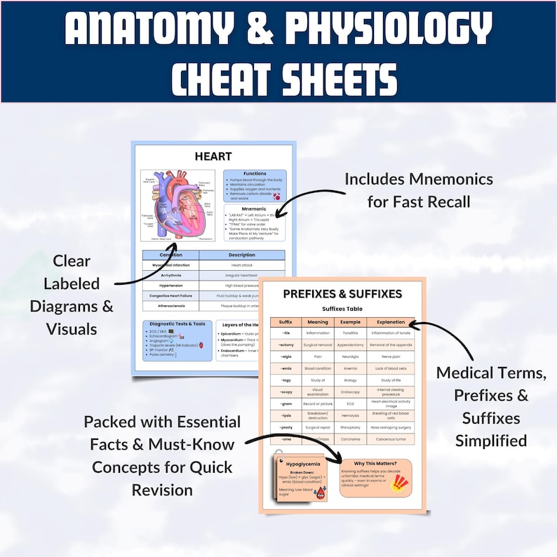 Anatomy and Physiology Study Guide Bundle | Medical Notes (PDF Download ...