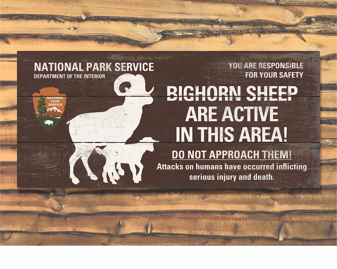 Bighorn Sheep Warning National Park Rustic Wood Sign, Rustic Cabin ...