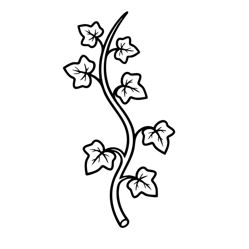 Ivy Branch SVG: Botanical Vine Line Art Cut File for Cricut ...