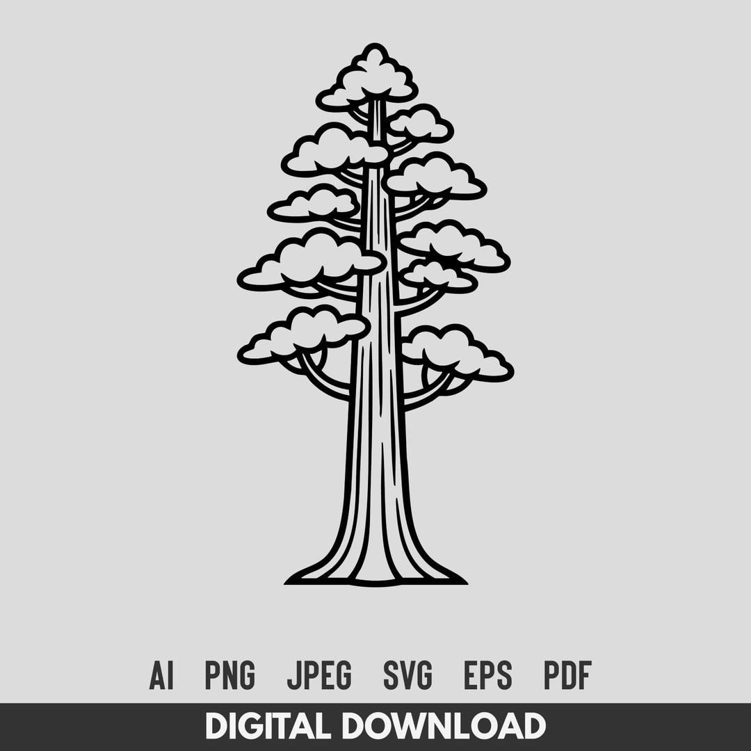 Redwood Tree SVG: Tall Pine Line Art Cut File for Cricut & Silhouette ...