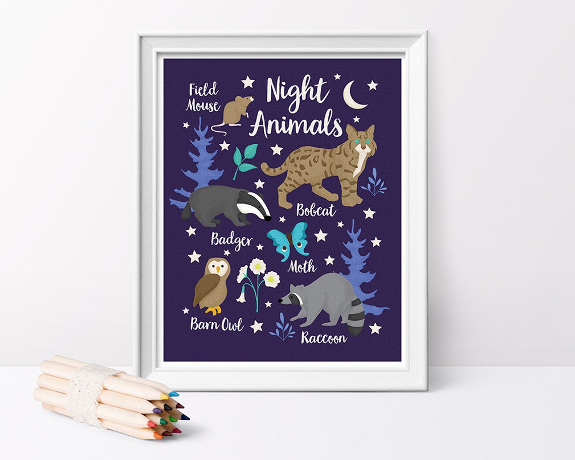 Night Animals Poster // Nocturnal Animals Print // Animal Wall Art ...