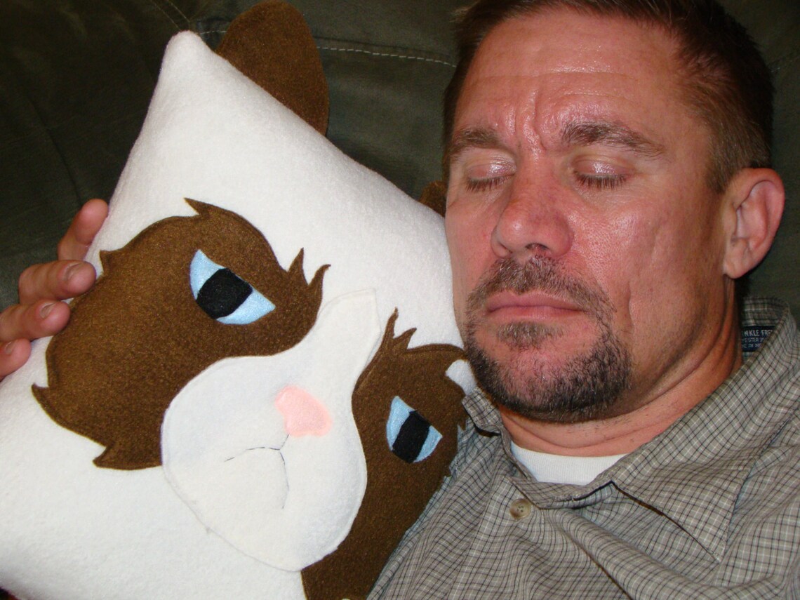 Grumpy Cat Pillow Plush Throw Pillow Room Decor - Etsy