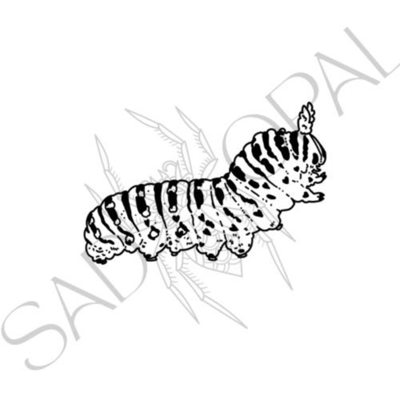 Cute Bug Tattoo Flash Set – 8 Hand-drawn Insect Linework Designs ...