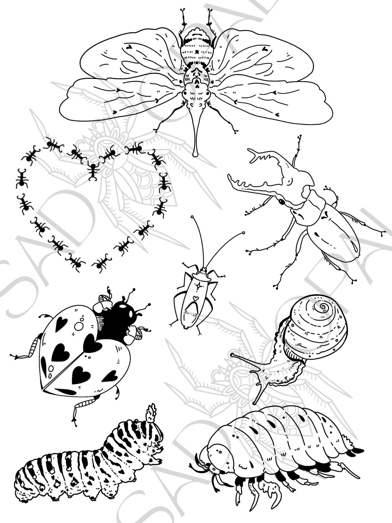 Cute Bug Tattoo Flash Set – 8 Hand-drawn Insect Linework Designs ...