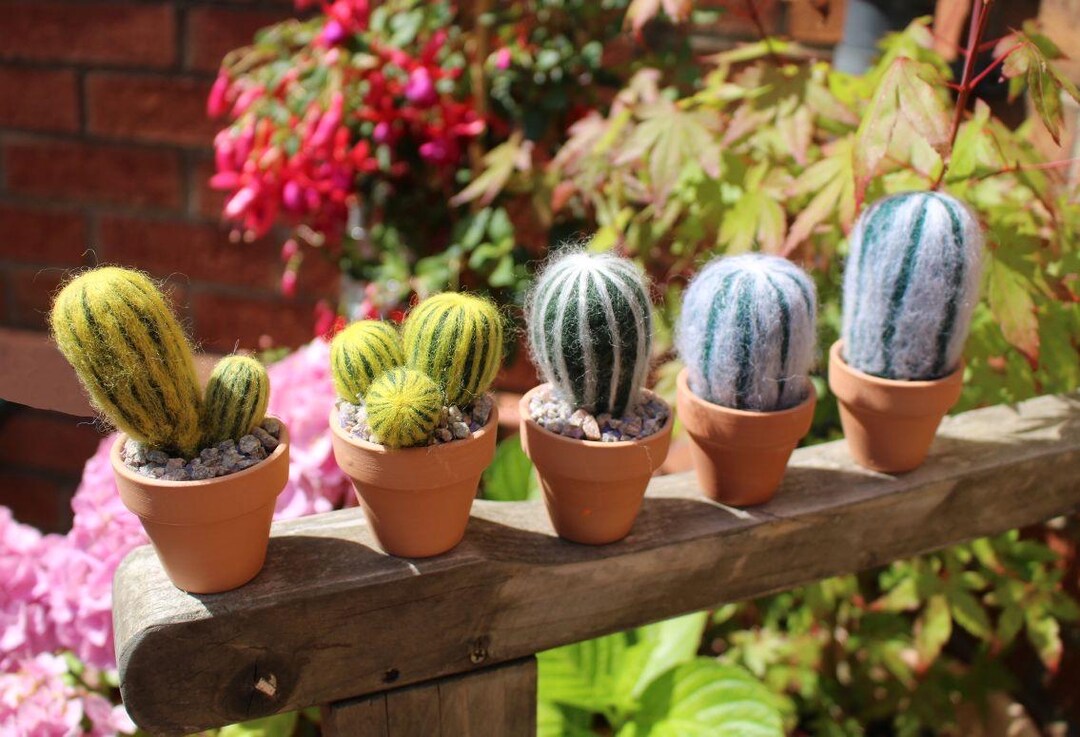 Needle Felted Cactus in Mini Teracotta Pot Finished With Small Stones ...