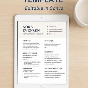 Modern CV Template in Canva – Professional and Easy to Edit - Etsy