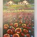 Red Poppy Wonderland Print - Etsy
