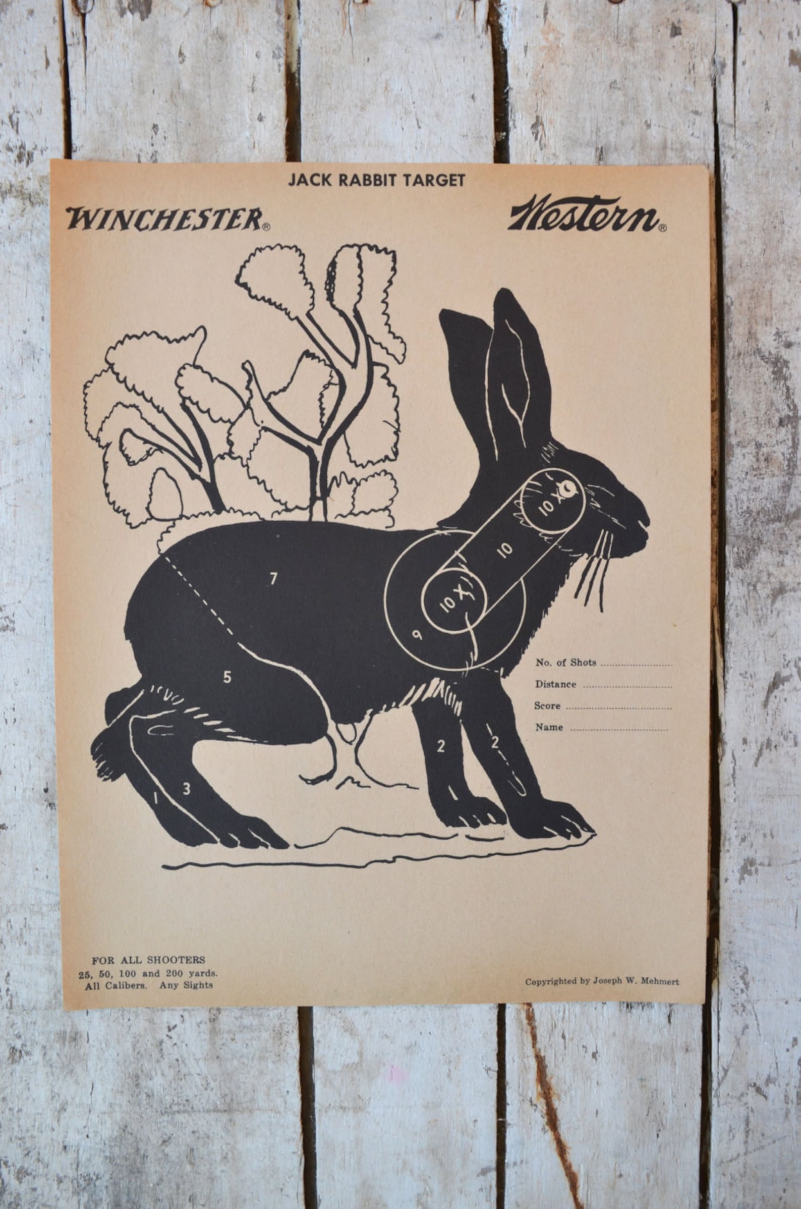 Vintage Winchester Western Jack Rabbit Target Shooting Paper C. 1940s ...