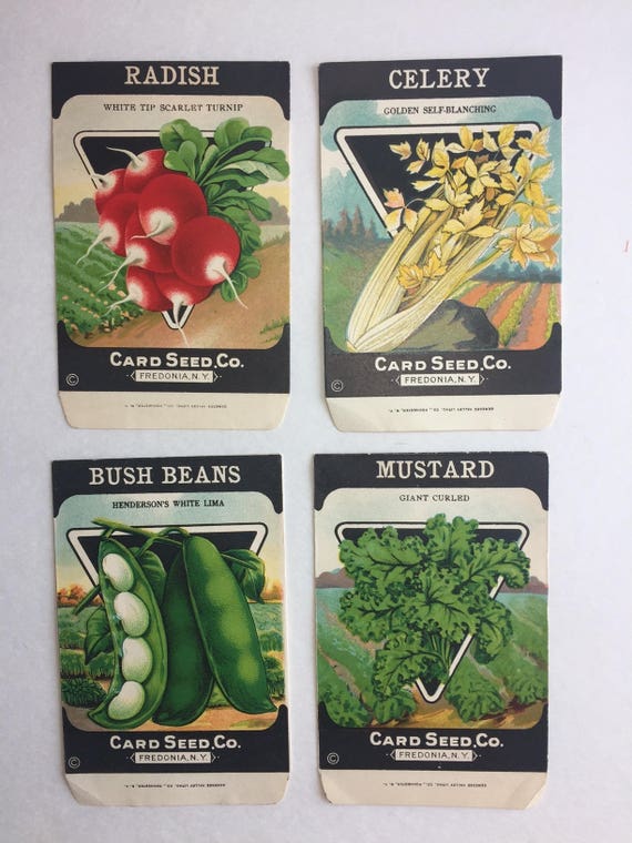 Lot of 4 Antique vintage 1920s Card Seed Co. seed packets | Etsy