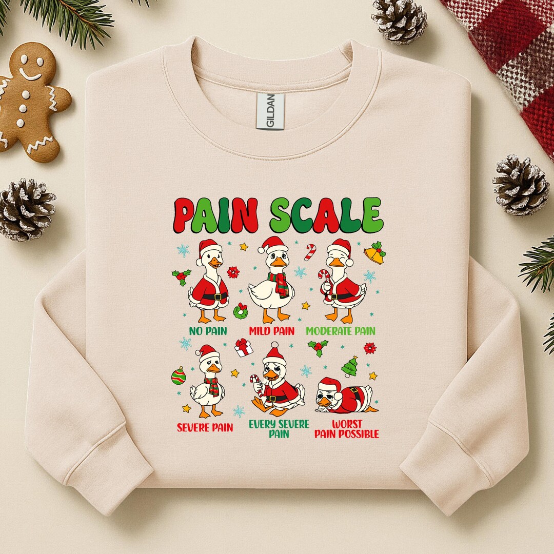 Funny Goose Pain Scale Christmas Sweatshirt, Nurse Gift - Etsy