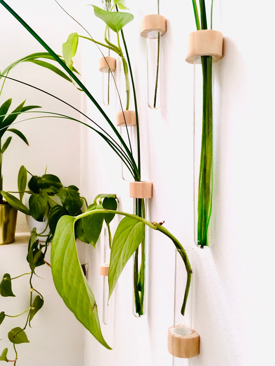 Propagation Station, Cultivation Station, Hydroponic Vase for Offshoots ...