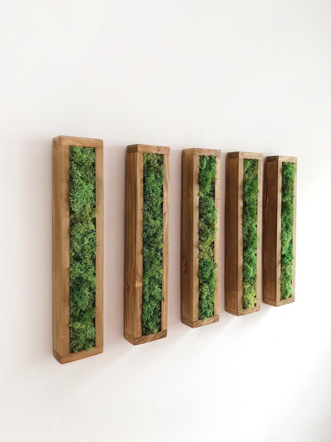 SET OF FIVE Decoration Mural, Living Moss Wall Art, Preserved Moss ...