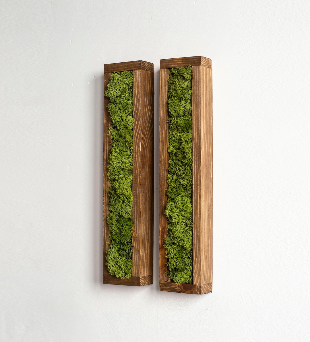 Preserved Moss Wall Decor, Preserved Green Moss, Living Moss Wall Art ...