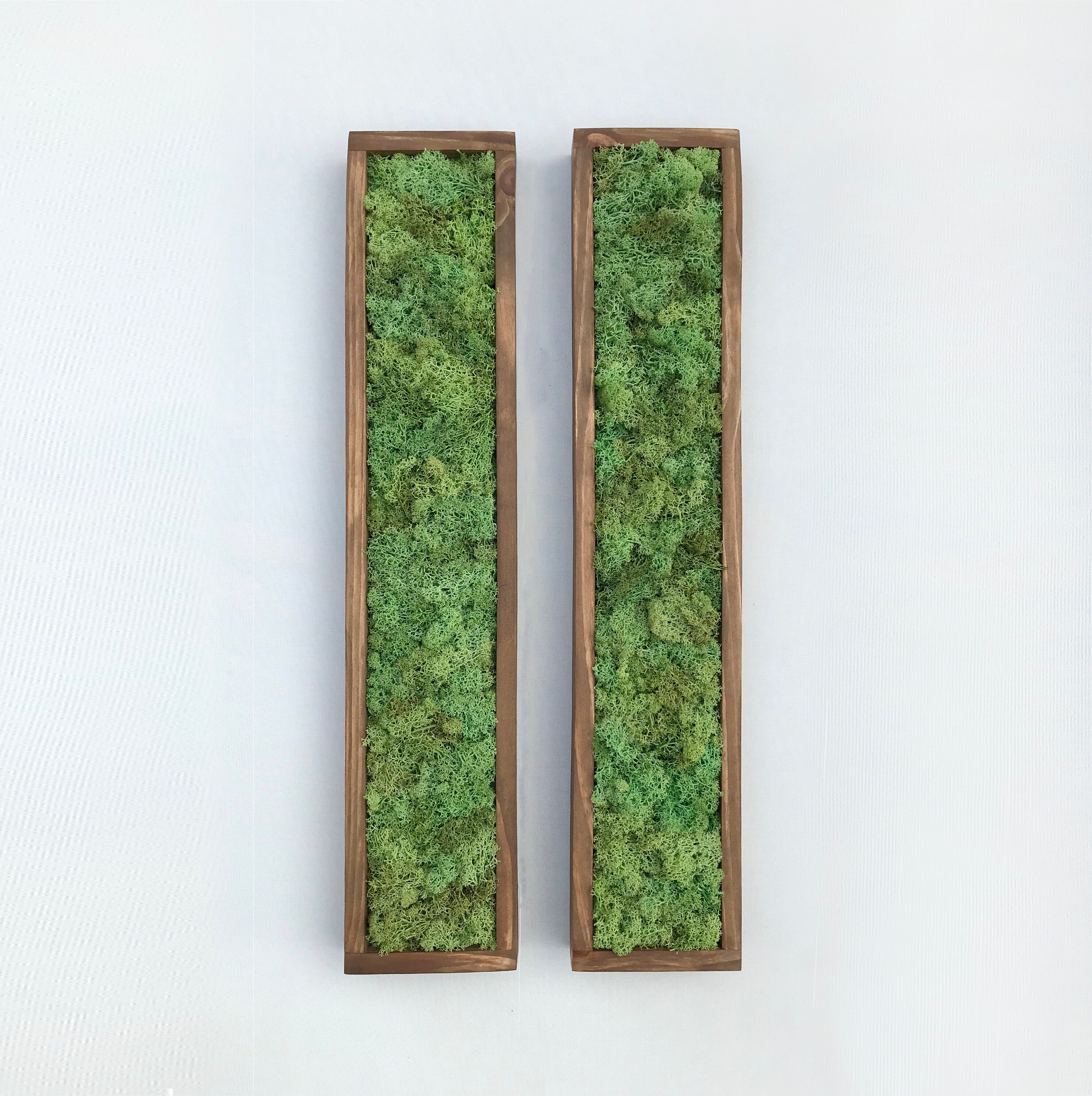 Large Preserved Moss Wall Decor: Framed Wood Gallery Set (7.87" X 31.50 ...