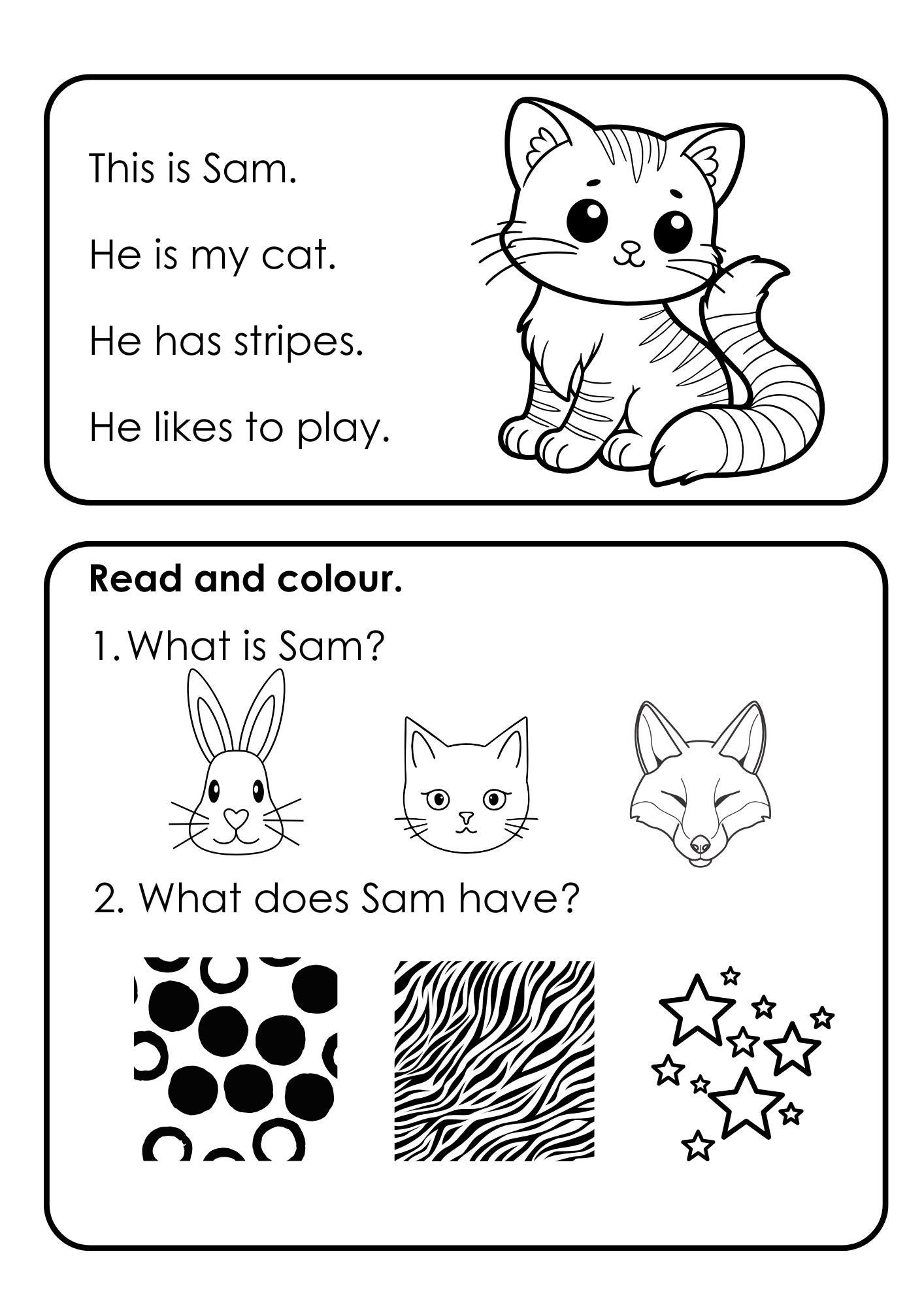 Reading Comprehension Worksheet - Etsy
