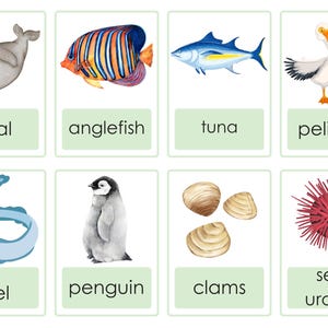 Ocean Flashcards – Ready to Print & Perfect for Little Learners! - Etsy