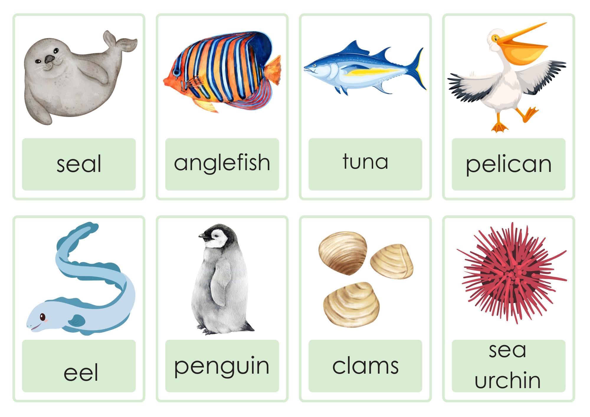 Ocean Flashcards – Ready to Print & Perfect for Little Learners! - Etsy