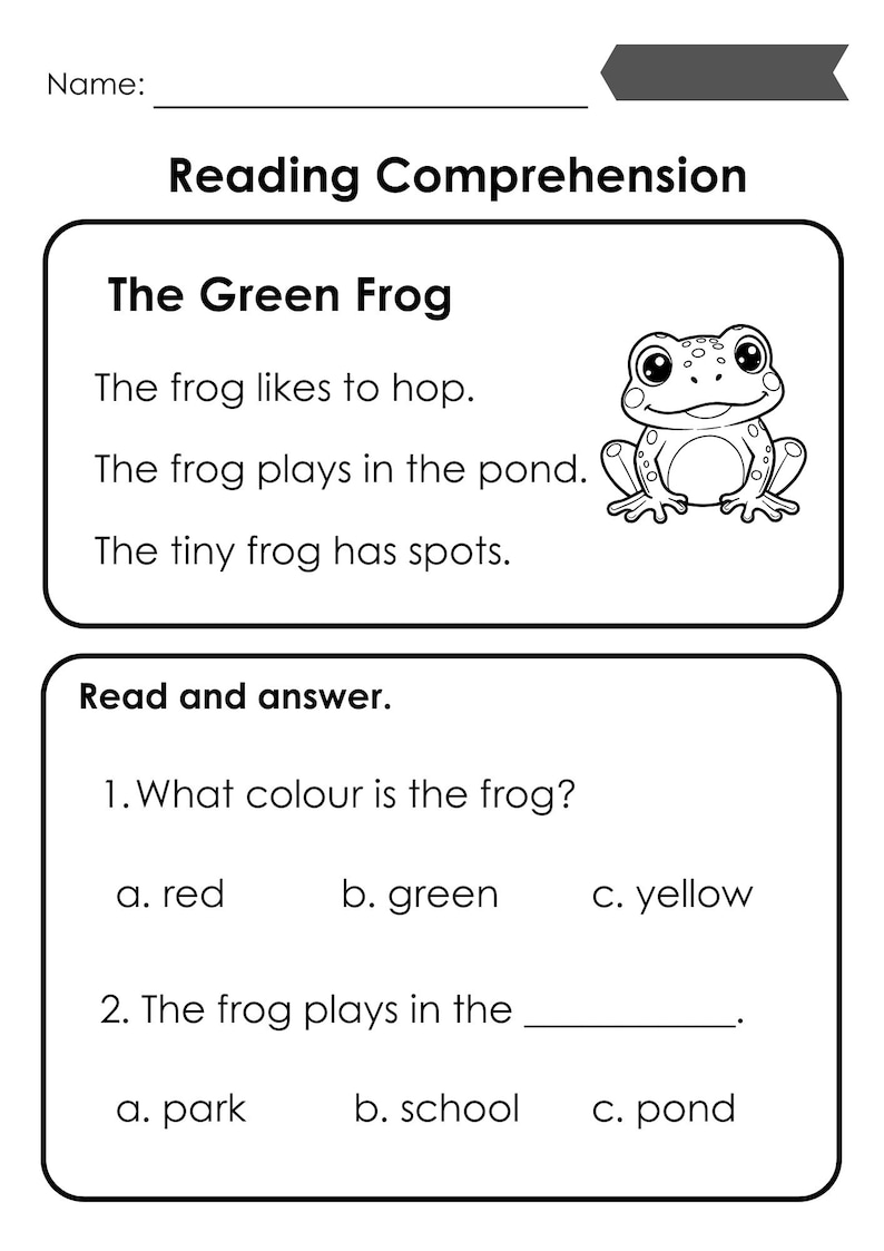 Reading Comprehension Worksheet - Etsy