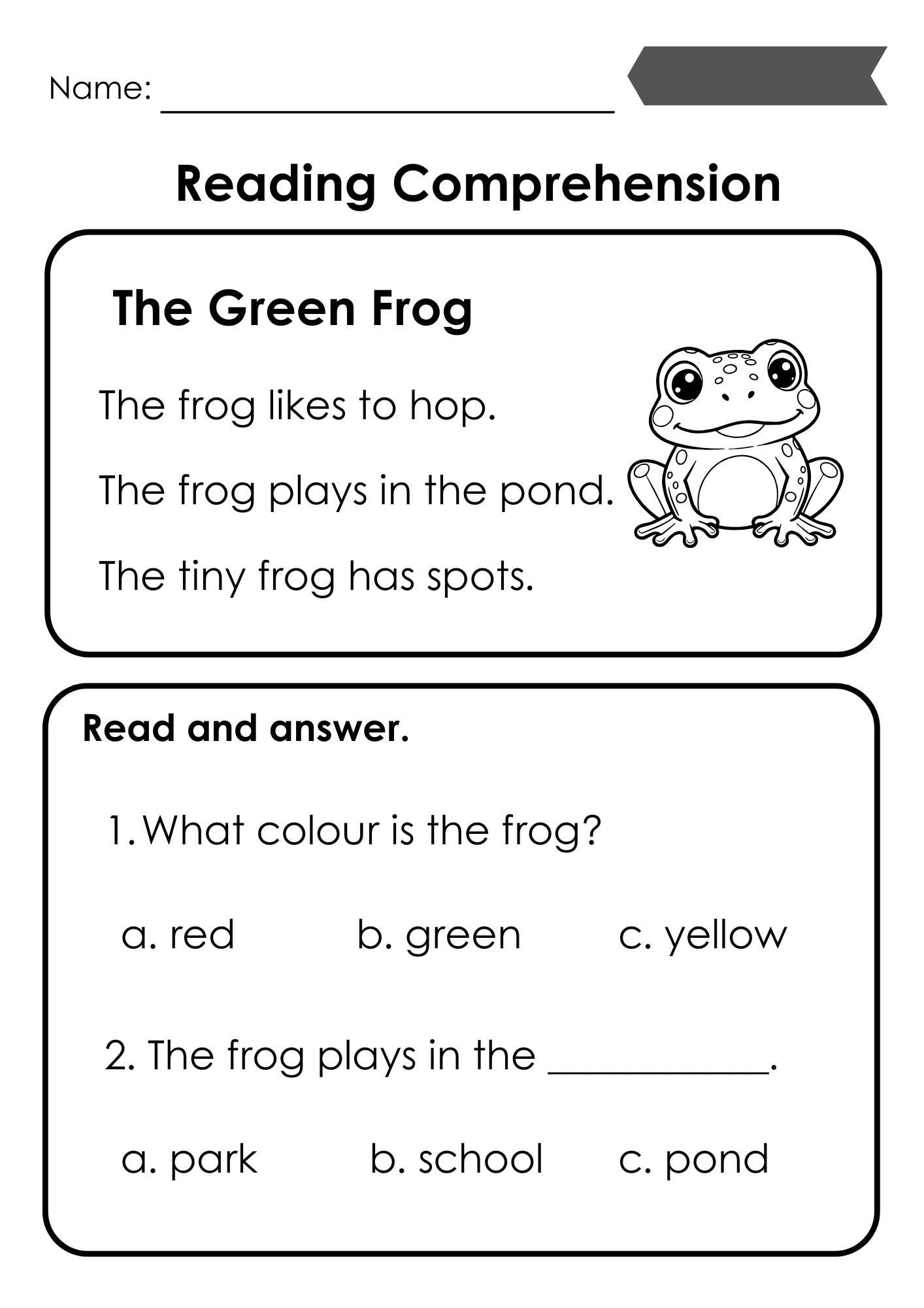 Reading Comprehension Worksheet - Etsy