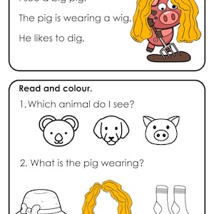 Reading Comprehension Worksheet - Etsy