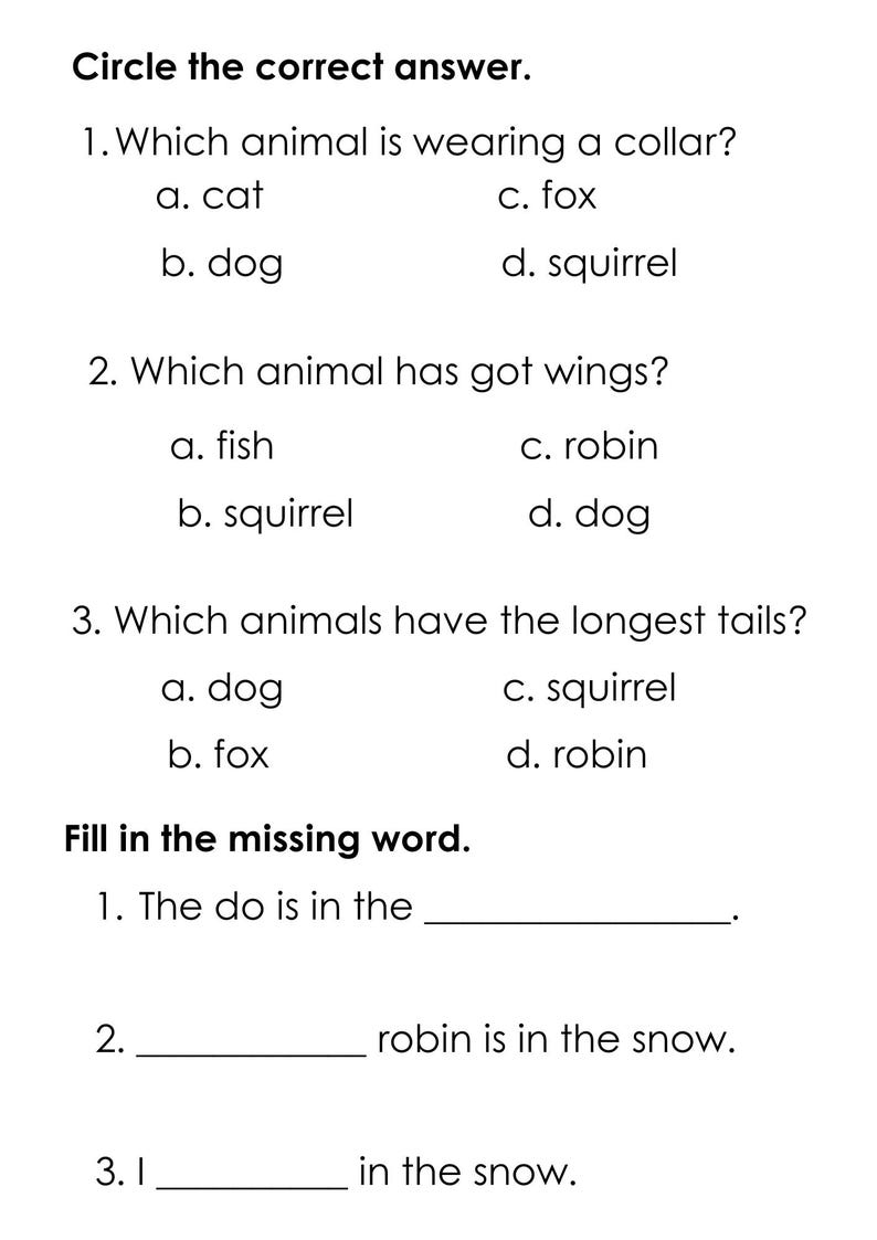 Reading Comprehension Workbook - Etsy