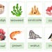 Ocean Flashcards – Ready to Print & Perfect for Little Learners! - Etsy