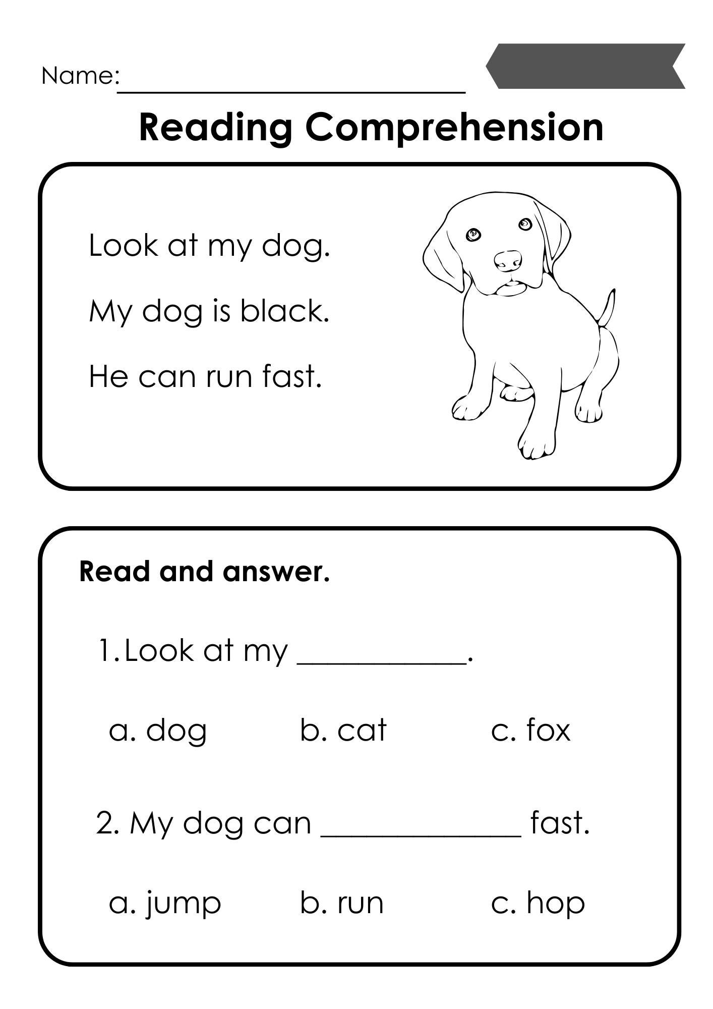 Reading Comprehension Worksheet - Etsy