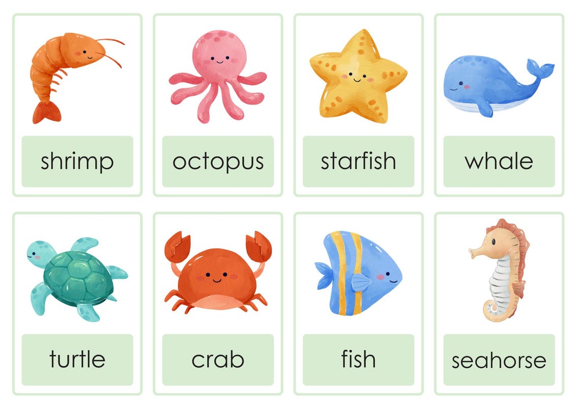 Ocean Flashcards – Ready to Print & Perfect for Little Learners! - Etsy