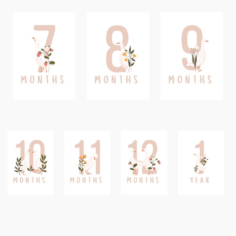 Pink Silly Goose Baby Milestone Cards: Photo Props (5x7" PDF Download ...