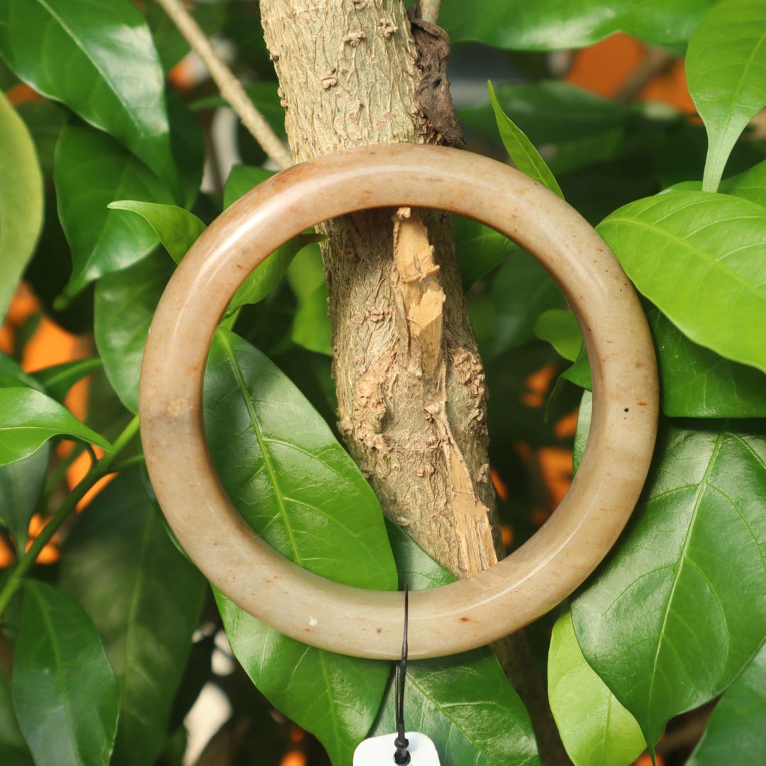 Burmese Jade Bangle: Hand-carved Dragon & Swan Yin Yang Motif - Etsy
