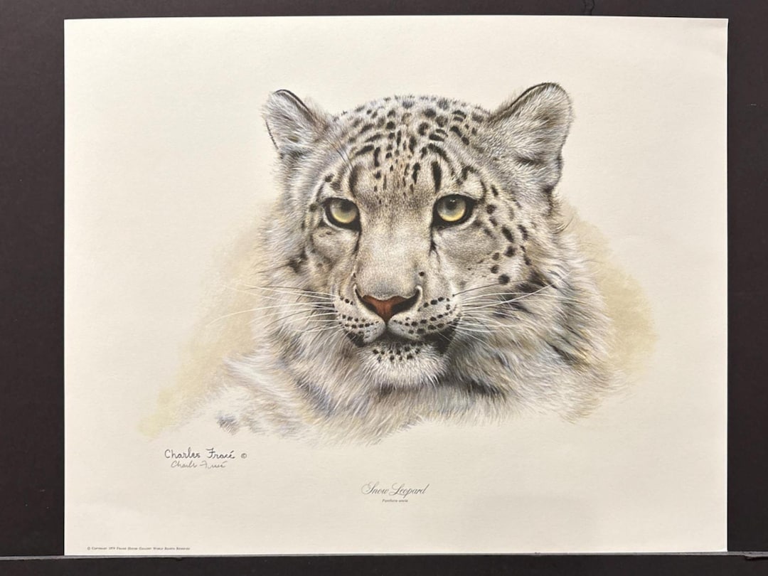 Vintage Hand Signed Print Charles Frace “snow Leopard(head)” - Etsy