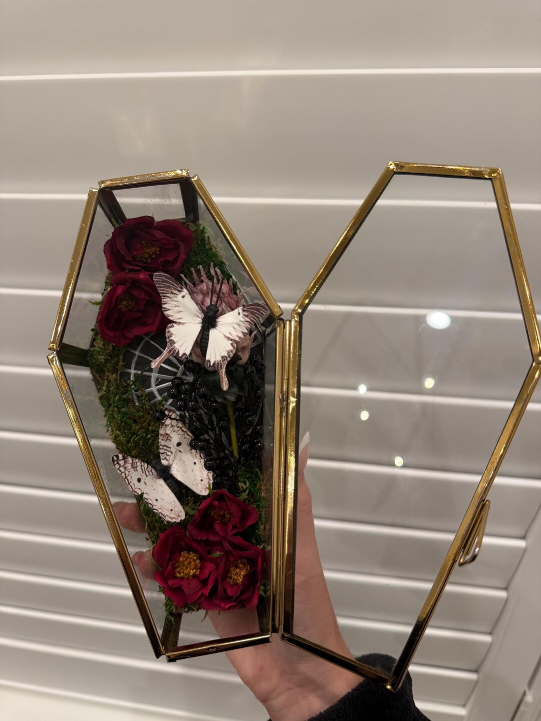 Gothic Coffin Display Box | Faux Roses, Butterfly Terrarium. Glass ...