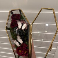 Glass Coffin Shelf Display - Etsy