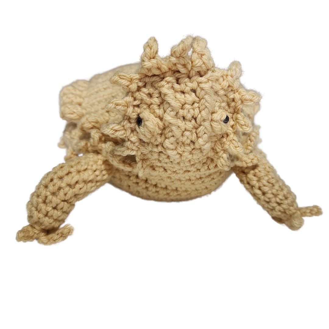 Crochet Texas Horned Lizard Plushie: Handmade Toad Toy - Etsy