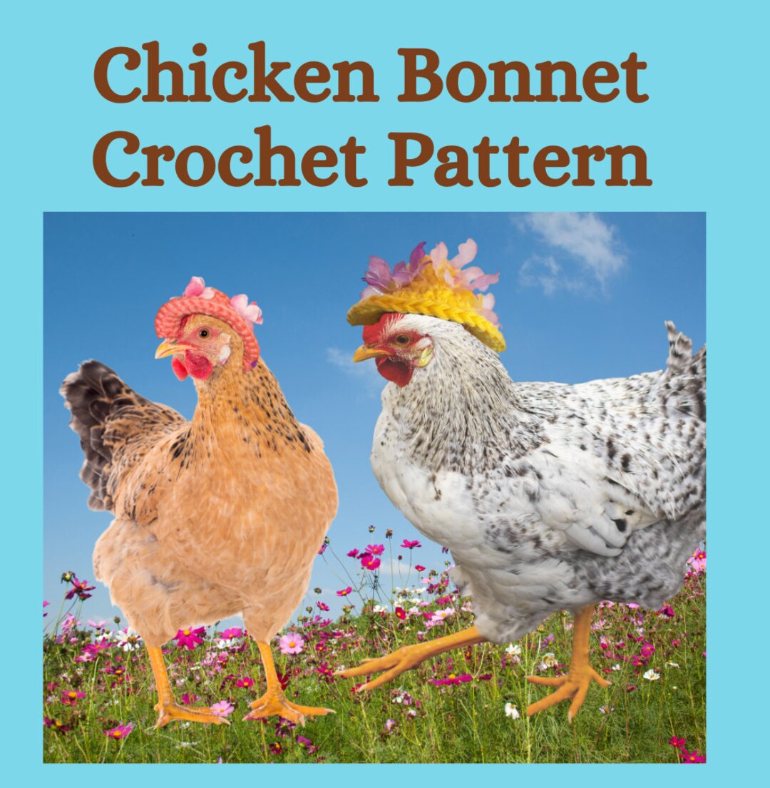 Crochet Pattern, Chicken Bonnet, Crochet for Pets - Etsy