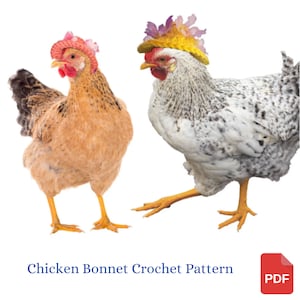 Crochet Pattern, Chicken Bonnet, Crochet for Pets - Etsy