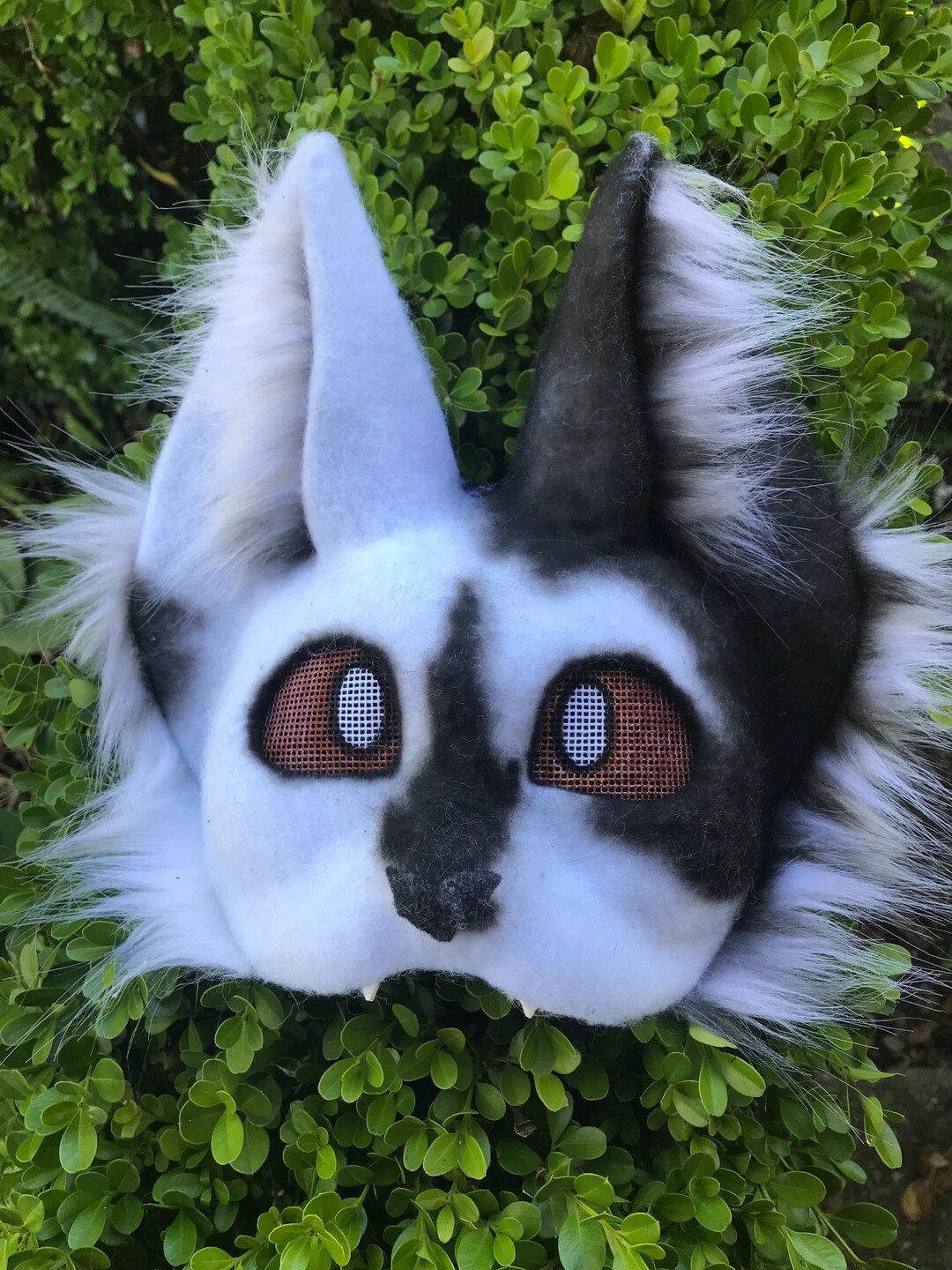 Brown Spotted Therain Cat Mask Waterproof - Etsy