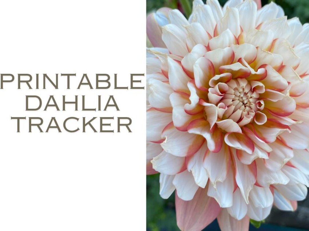 Dahlia Inventory Tracker: Garden Journal PDF for Flower Growers (25 ...
