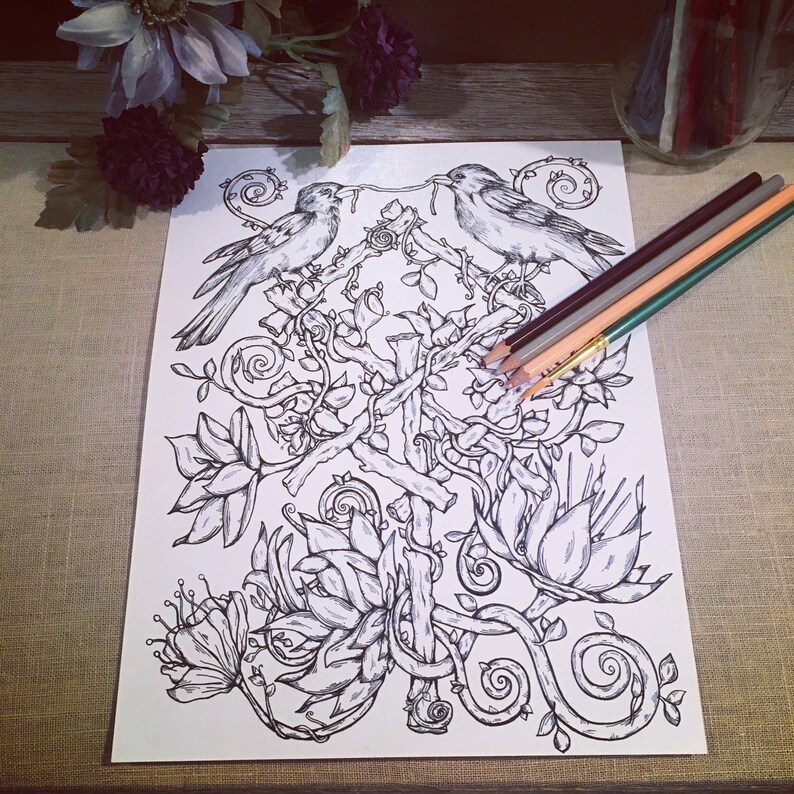 Adult Coloring Page Ravens & Runes Original Nature Art Norse - Etsy