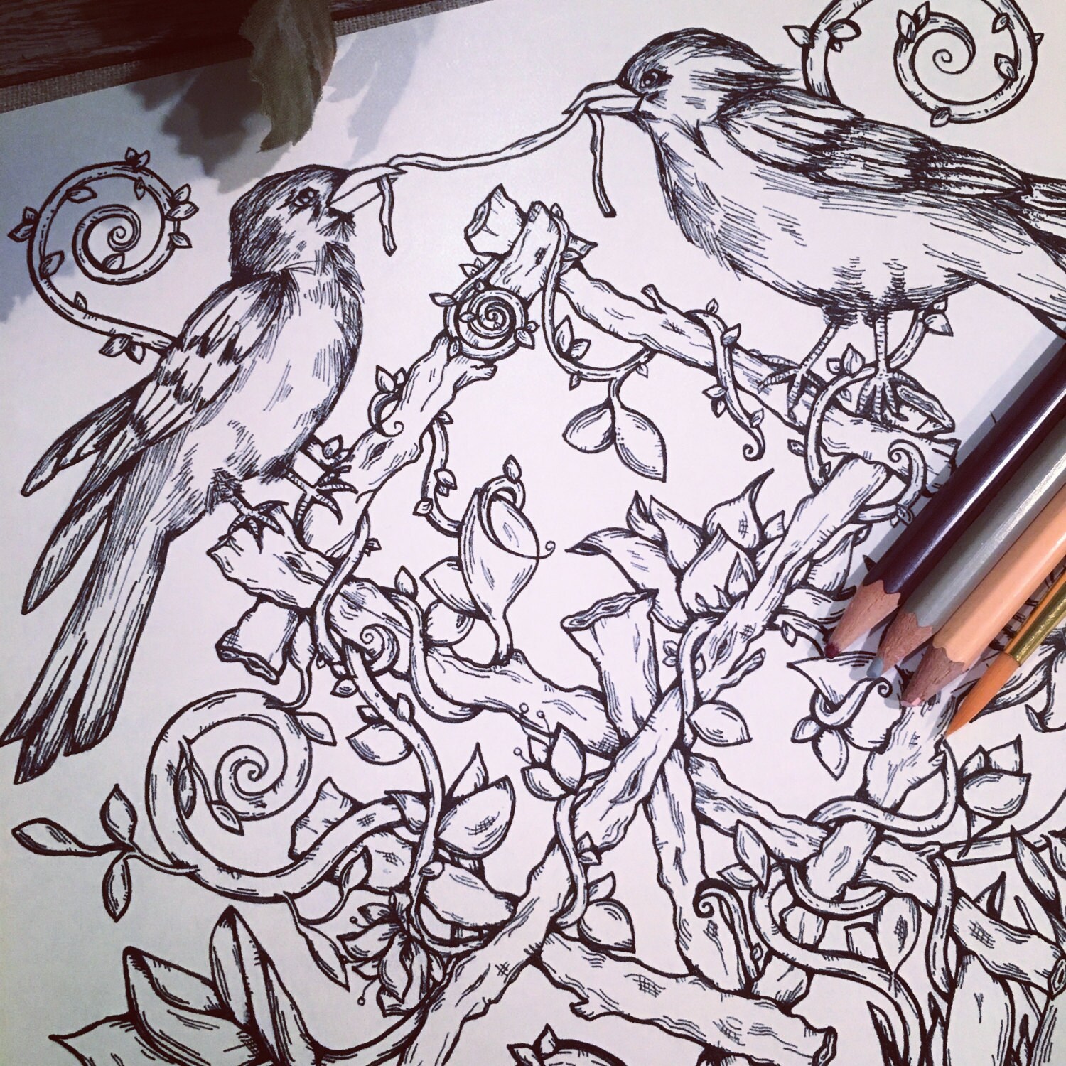 Adult Coloring Page Ravens & Runes Original Nature Art Norse | Etsy